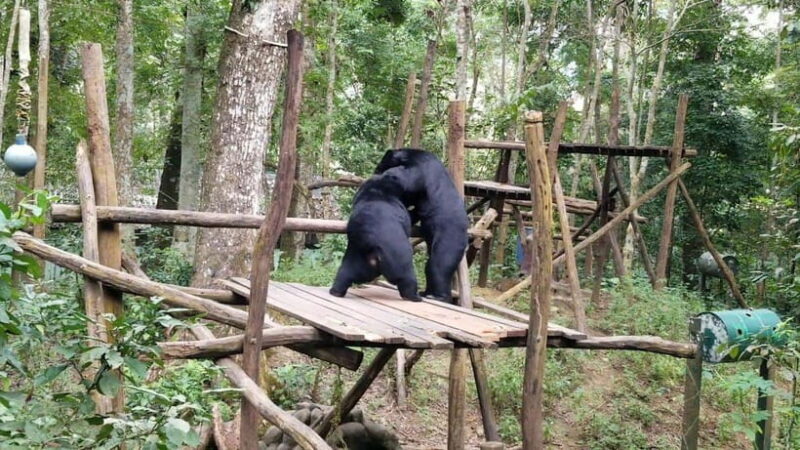 LUANG PRABANG WILDLIFE SANCTUARY - HMONG TRIBE VILLAGE - Key Points