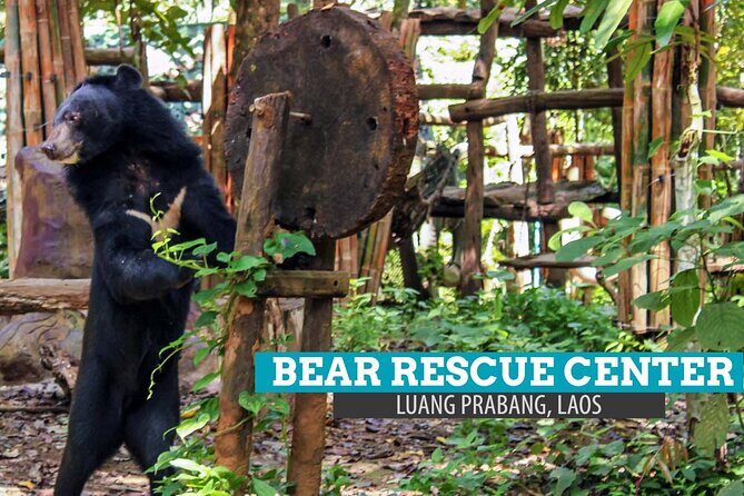 Luang Prabang's Beauty & Heritage in 1 Day - All-Inclusive Tour - Authentic Experiences and Traveler Insights