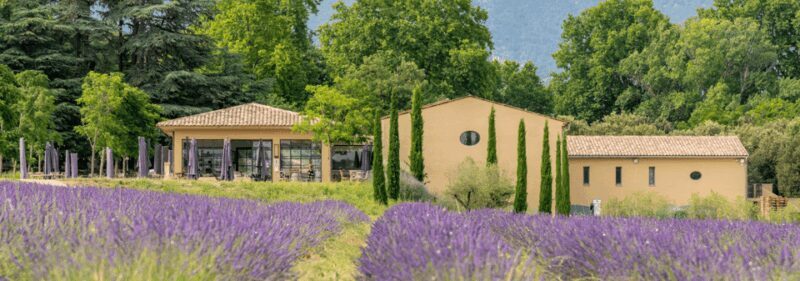 Luberon: Vineyard Tour and Wine Tasting - Why Choose the Luberon Vineyard Tour?