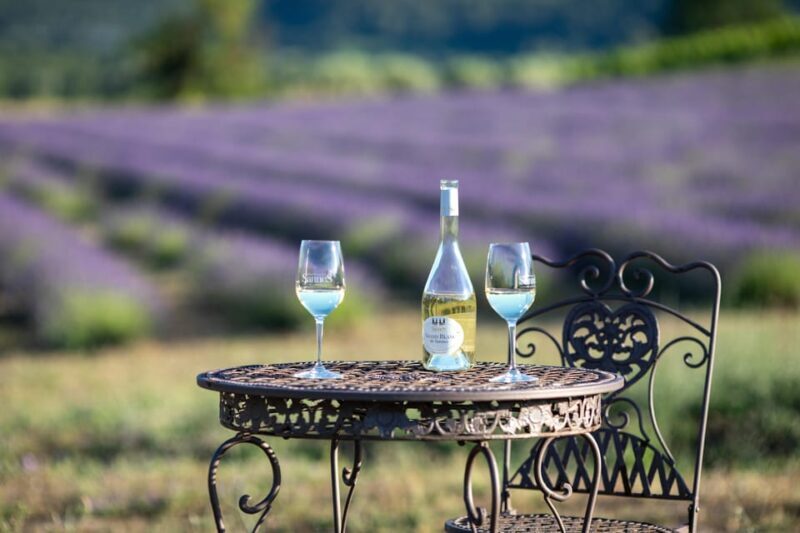 Luberon: Vineyard Tour and Wine Tasting - Does the Tour Offer Value?