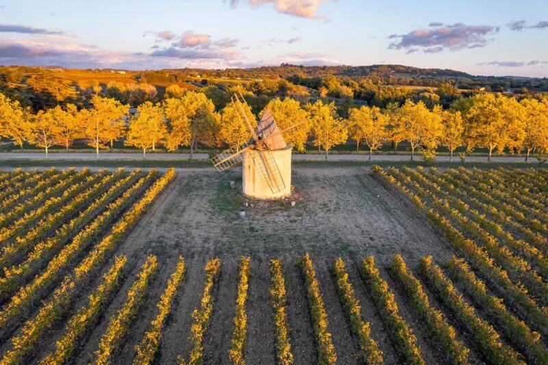Luberon: Vineyard Tour and Wine Tasting - FAQs