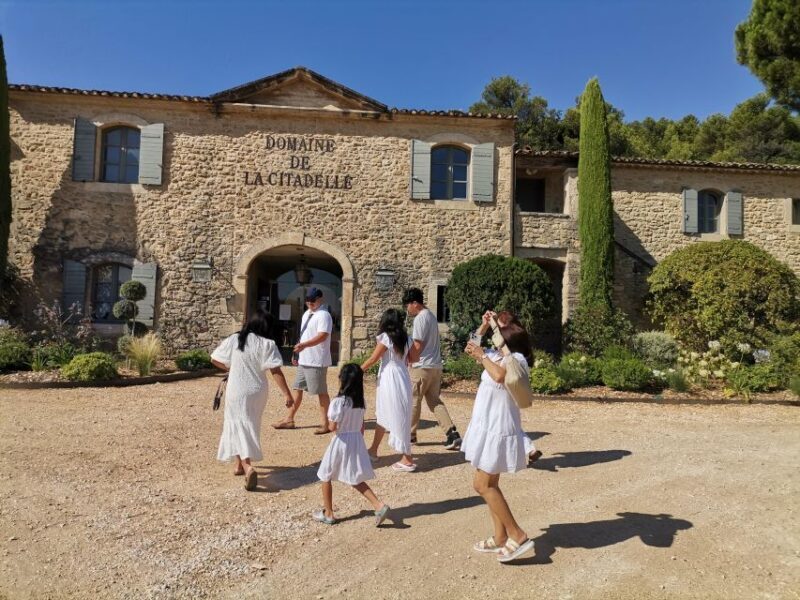 Luberon Wine and Charm: Explore the Flavors of the South - Transport, Timing, and Group Dynamics