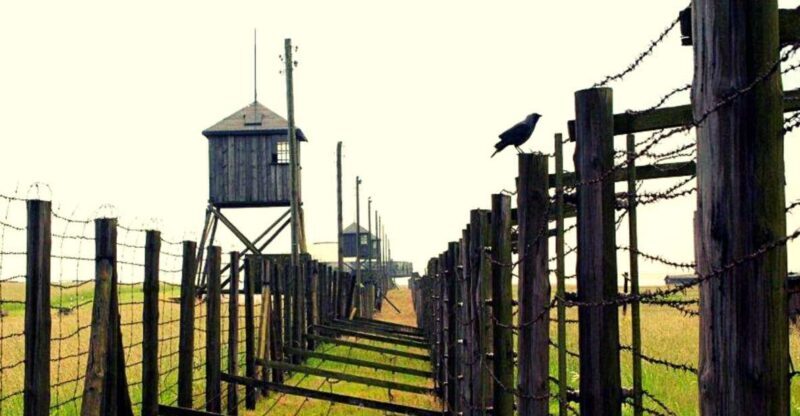 Lublin & Majdanek Small-Group Tour from Warsaw with Lunch - Key Points