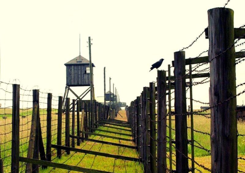 Lublin & Majdanek Small-Group Tour from Warsaw with Lunch - Final Thoughts: Who Is This Tour Best For?