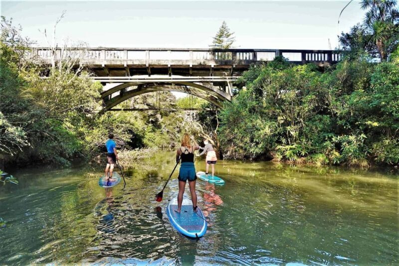 Lucas Creek Waterfall SuP Tour - Introduction: A Peaceful Paddle in Albany
