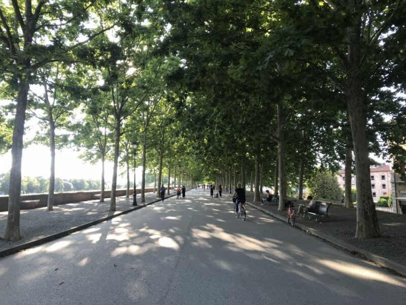 Lucca: City Bike One-Day Rental - Authentic Experiences and Highlights