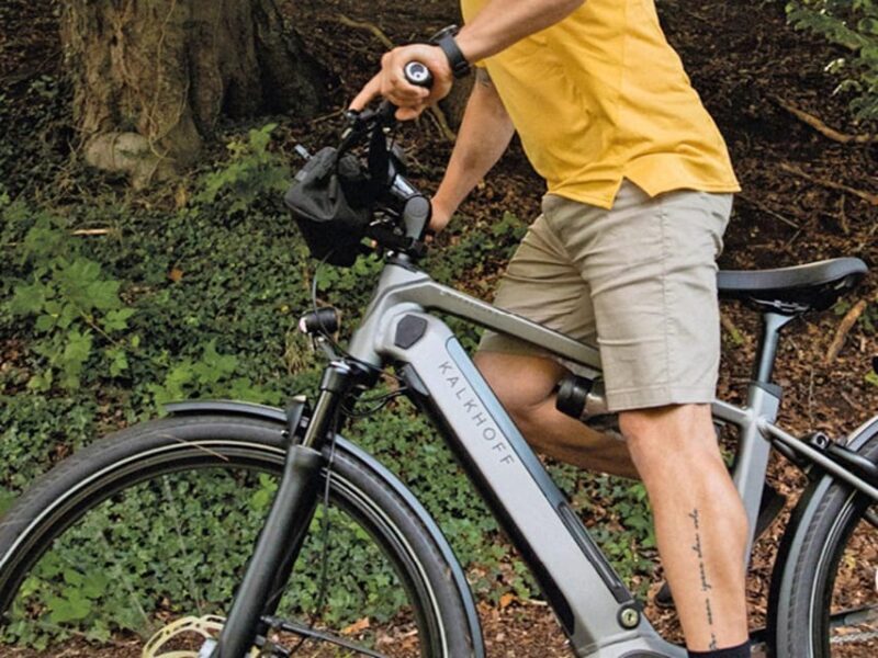 Lucca: E-Bike Rental - The Experience: What to Expect and Why It Matters