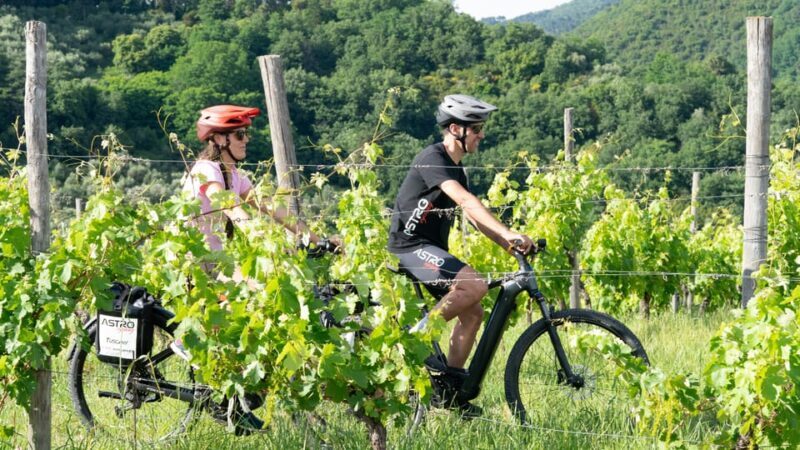 LUCCA: EBIKE TOUR WITH LUNCH AND WINE TASTING - Final Thoughts: Who Is This Tour For?