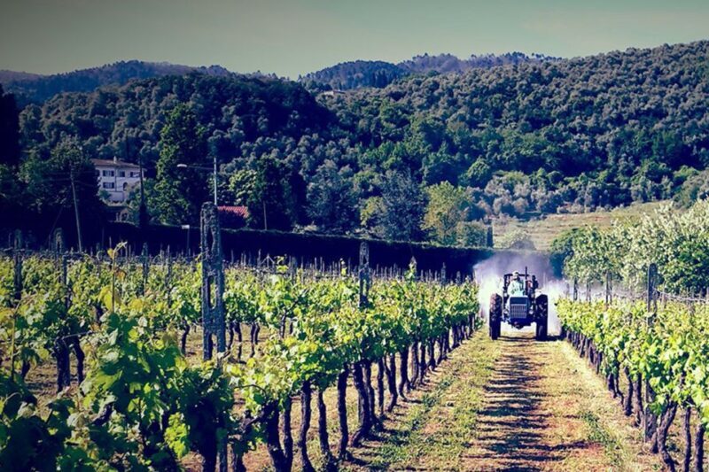 Lucca: Guided E-Bike and Wine Tour - Key Points