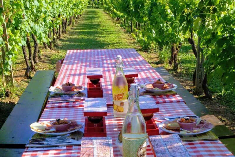 Lucca: Guided E-Bike and Wine Tour - Final Thoughts
