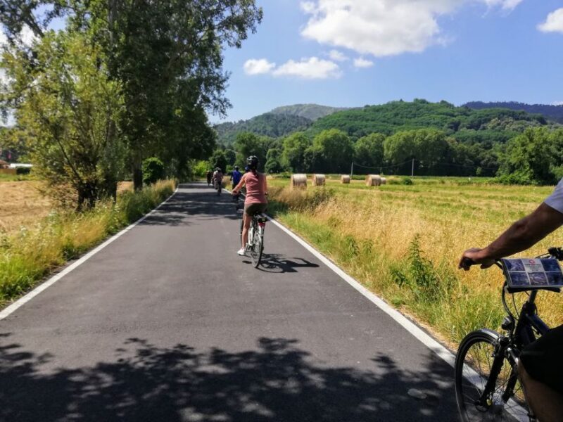 Lucca: Picnic Lunch at a Vineyard by Bike - Introduction: An Inviting Taste of Tuscany’s Countryside