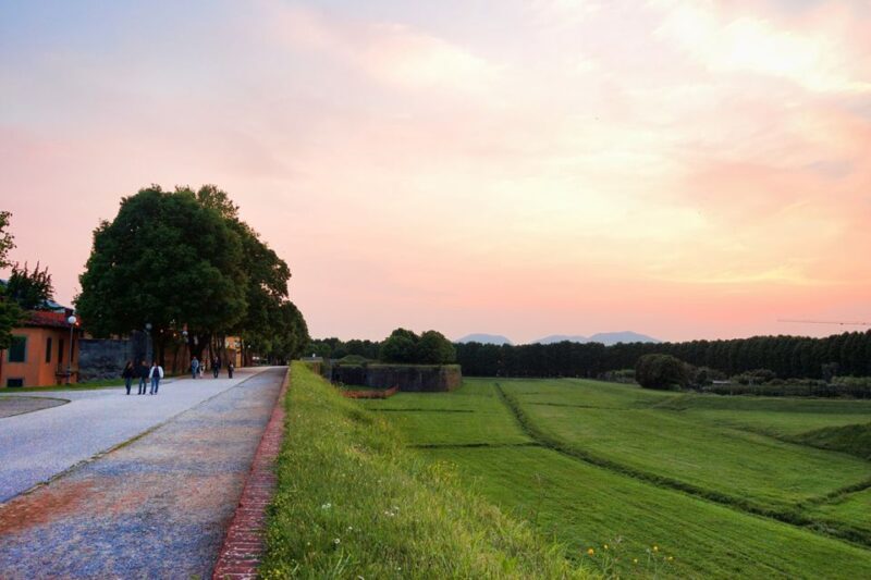 Lucca: Picnic Lunch at a Vineyard by Bike - Deep Dive into the Itinerary
