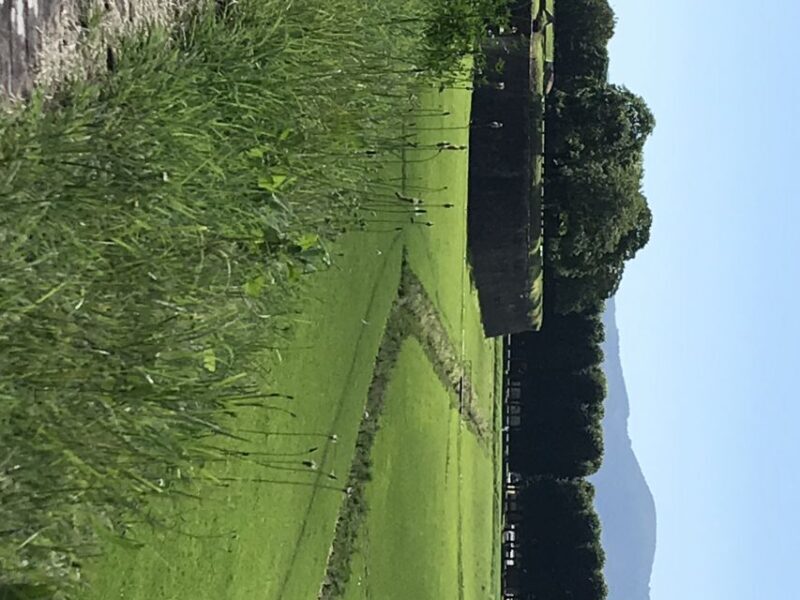 Lucca: Renaissance City Walls Walking Tour - Key Points