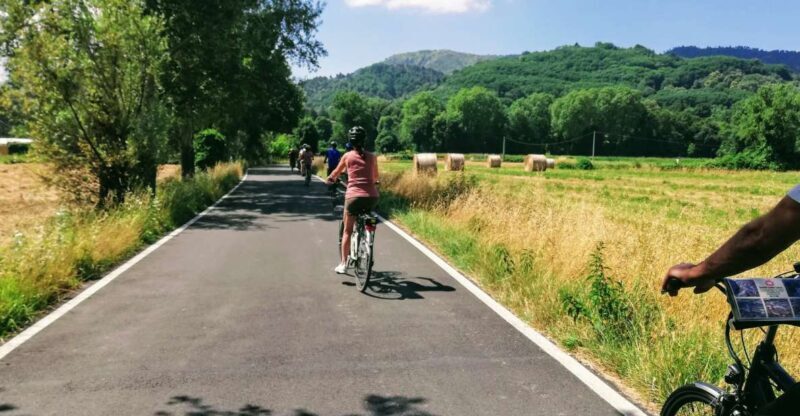 Lucca: Self-Guided Bike Tour to the Wine Roads - Key Points