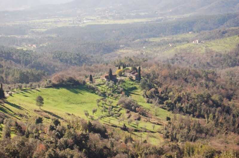 Lucca: Self-Guided Bike Tour to the Wine Roads - An Authentic Tuscan Experience on Two Wheels