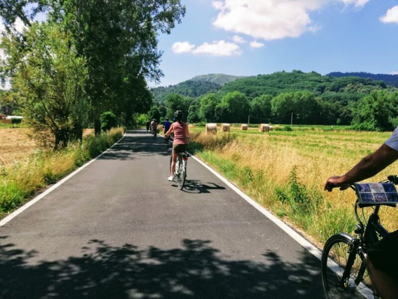 Lucca: Self-Guided Bike Tour to the Wine Roads - Who is This Tour Best For?