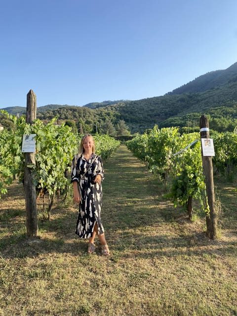 Lucca tour & Pisa tower + Wine Tasting by van from La Spezia - Final Thoughts