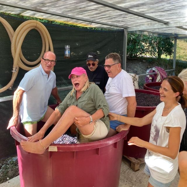 Lucca Tour & Pisa Tower + Wine Tasting by van from Livorno - The Sum Up