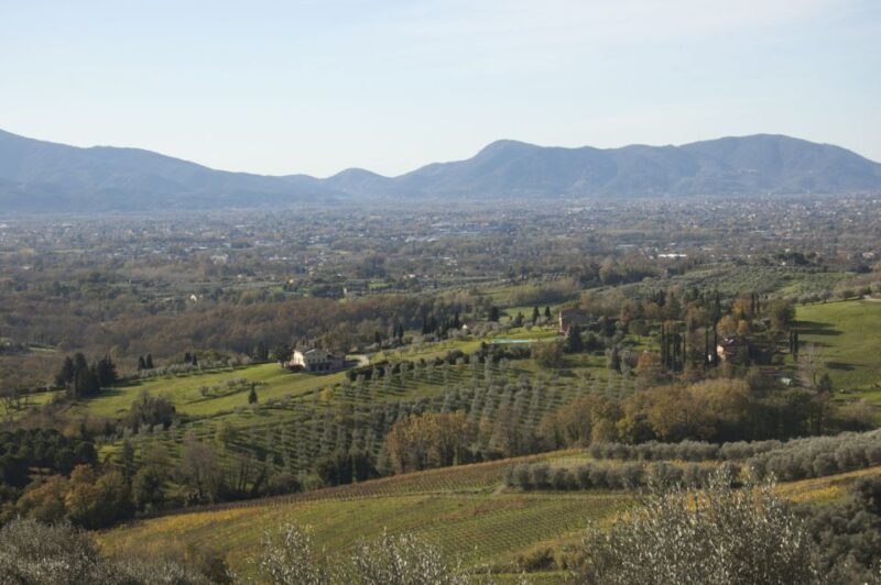 Lucca: Trekking Bike Rental - Lucca: Trekking Bike Rental – A Practical Guide for Curious Cyclists