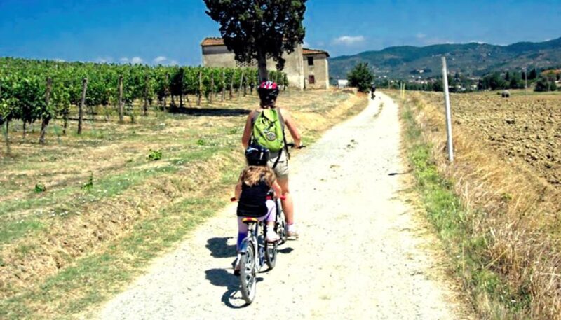 Lucca: Trekking Bike Rental - Who Would This Experience Suit Best?