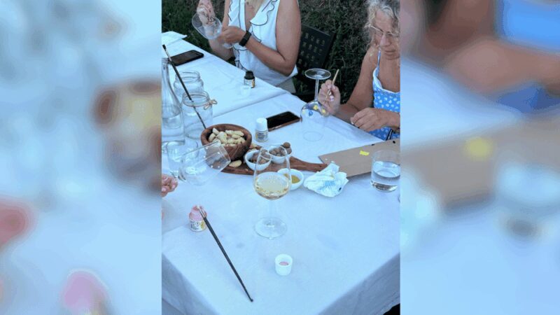 Lucca: Vineyard Paint & Sip at Tenuta Adamo Winery - The Itinerary in Detail