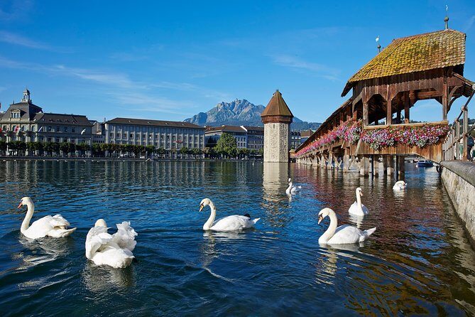 Lucerne Day Trip from Zurich Including Lake Lucerne Cruise - The Lake Lucerne Cruise: A Highlight