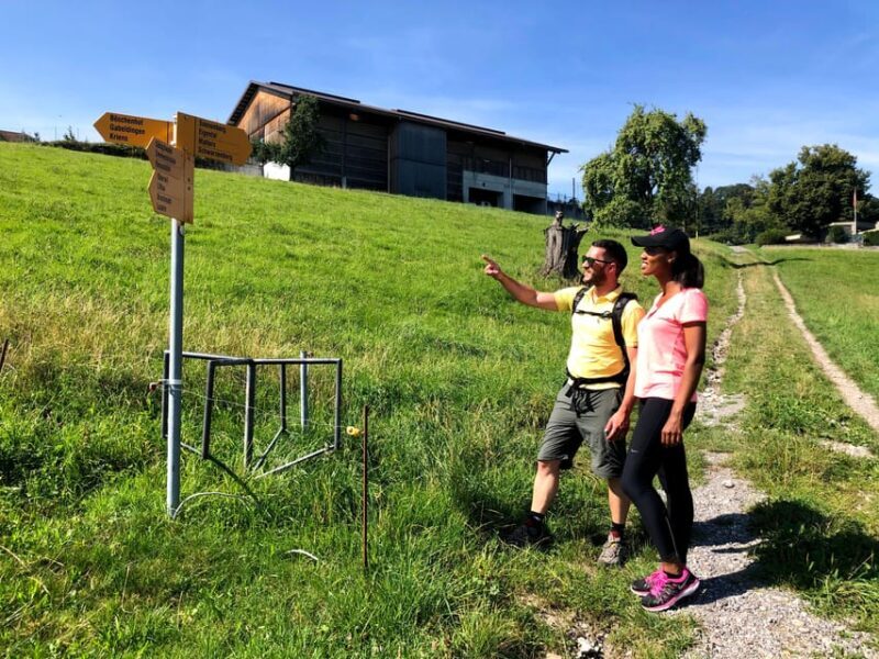 Lucerne: Farm Tour and Cheese Tasting - Detailed Breakdown of the Itinerary