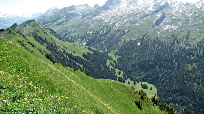 Lucerne: Guided Day Hike to Lucerne Ridge & Lake Views - Deep Dive: What Makes This Tour Special