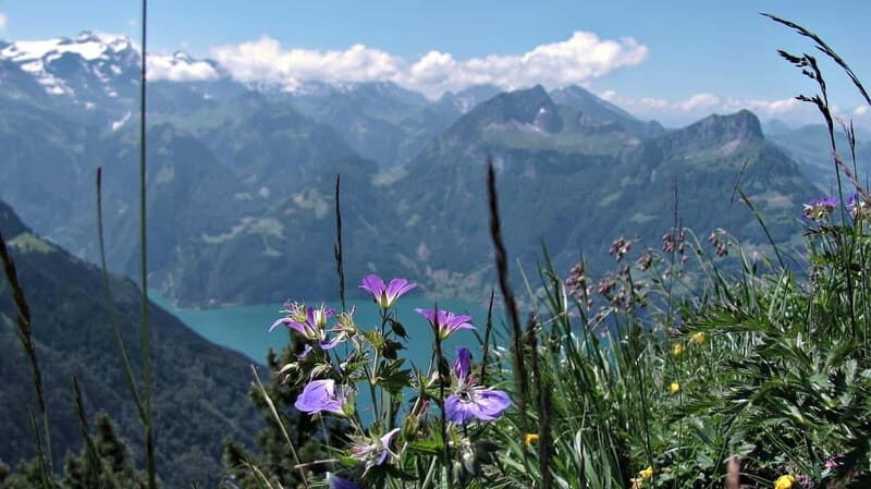 Lucerne: Guided Day Hike to Lucerne Ridge & Lake Views - Final Thoughts