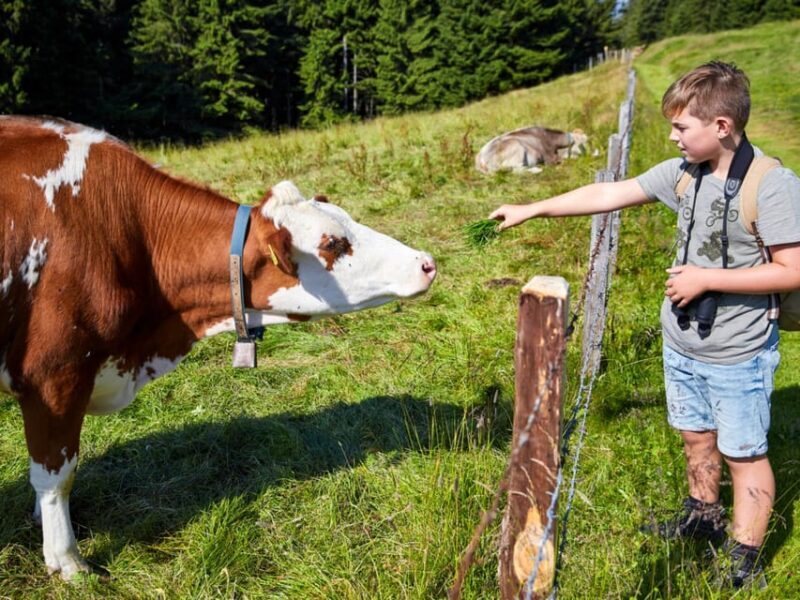 Lucerne: Guided hike on the Pilatus with barbecue experience - Final Thoughts