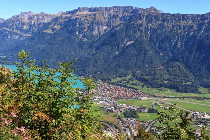 Lucerne: Interlaken & Grindelwald Exclusive Private Day Tour - Key Points
