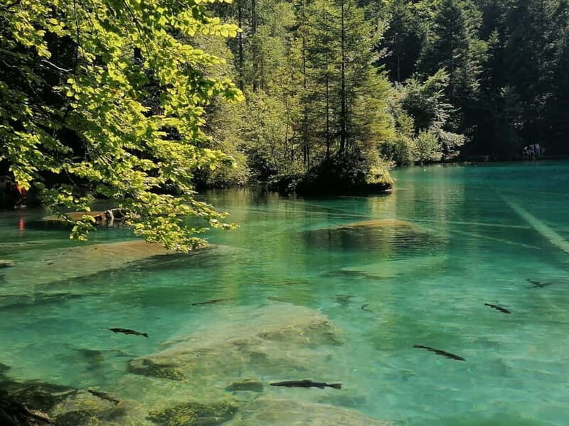 Lucerne or Zurich: Interlaken and Lauterbrunnen Day Tour - FAQ