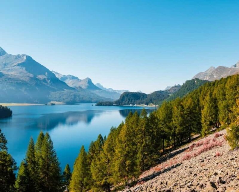 Lucerne: Private day Trip to St. Moritz - Key Points