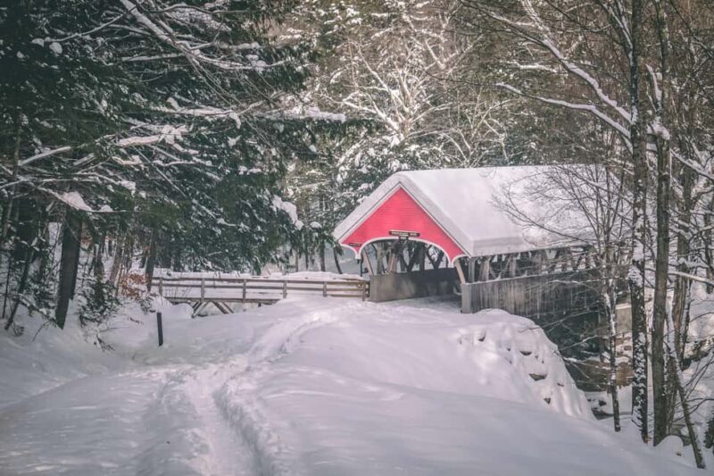 Lucerne: Snowshoe Hiking Adventure to Glaubenberg Langis - Discovering Swiss Winter on Snowshoes