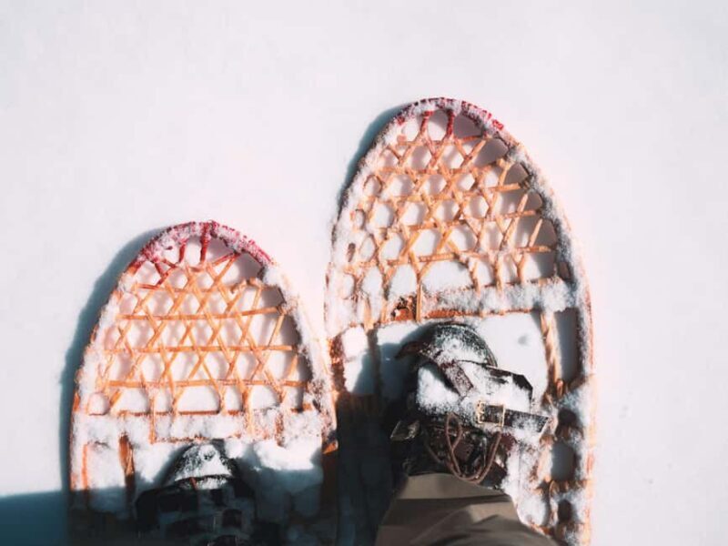 Lucerne: Snowshoe Hiking Adventure to Glaubenberg Langis - Frequently Asked Questions