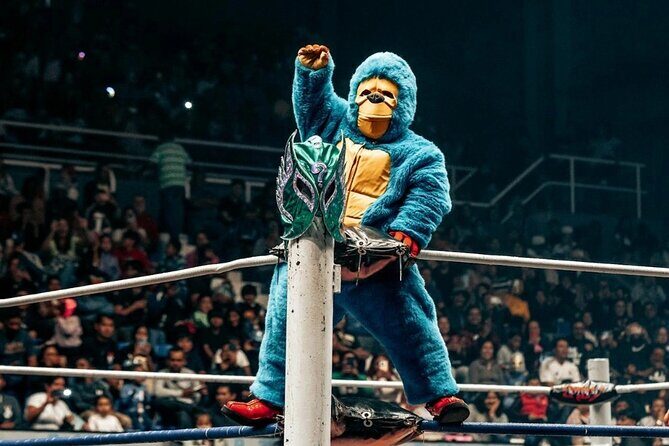 Lucha Libre and Walking Tour - Final Thoughts
