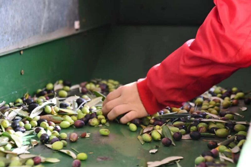 Lucinasco: a journey through flavors and traditions. Guided visit to the village. - Practicalities and Value