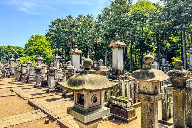 Lucky Cats Temple & Old Tokyo Yanaka 1/2-Day Walking Private Tour - Who Will Love This Tour?