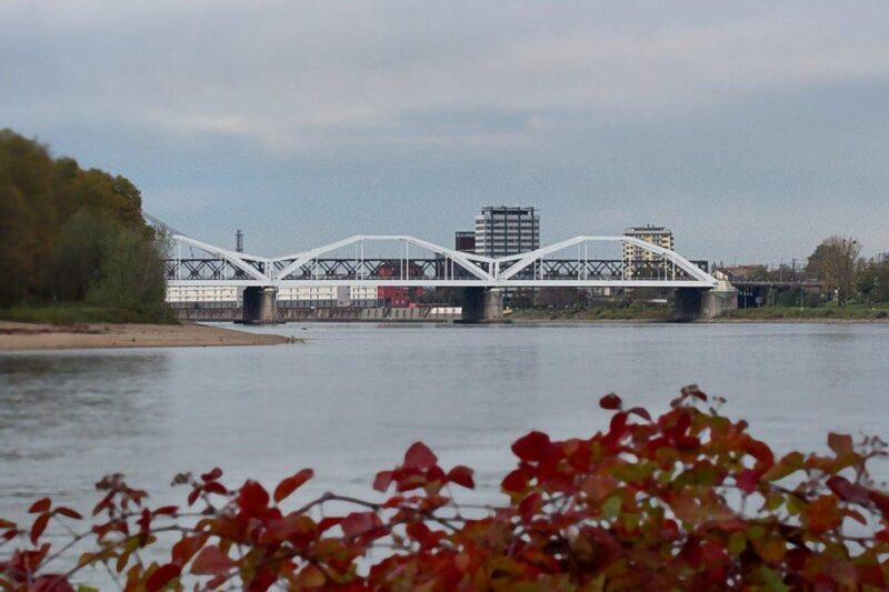 Ludwigshafen am Rhein Private Guided Walking Tour - Key Points