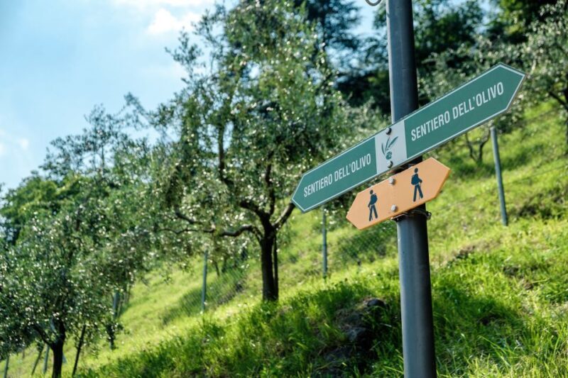Lugano: Guided Walking Tour to Gandria with Boat Cruise - Practical Tips: Making the Most of Your Tour