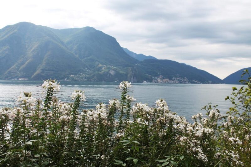Lugano - Private Walking Tour - An In-Depth Look at What Youll Experience