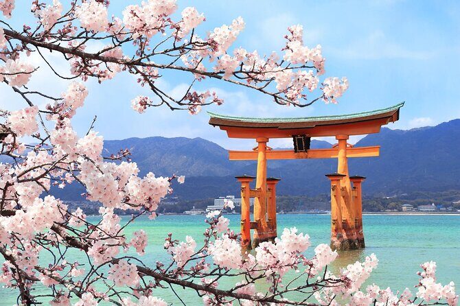 Luggage Pick NARITA or HANEADA airport & Deliver Tokyo 32 Ward - Who Will This Tour Suit?