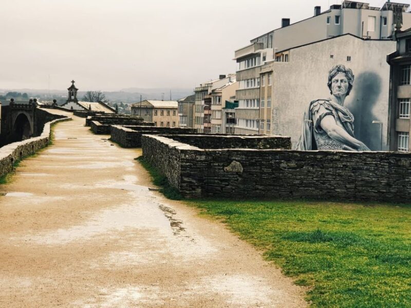 LUGO: Private Guided Walking Tour - Frequently Asked Questions