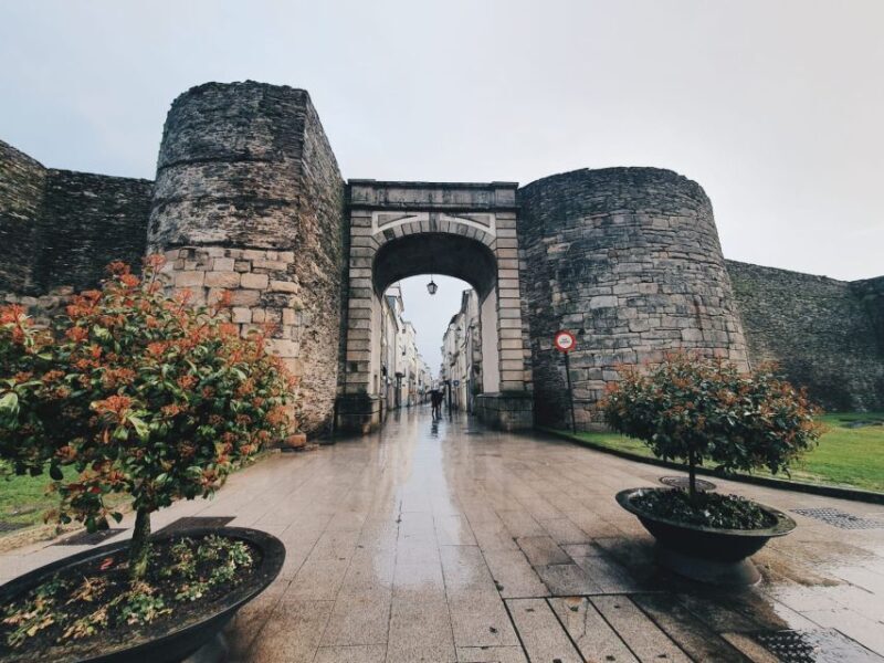 LUGO: Private Guided Walking Tour - Final Thoughts