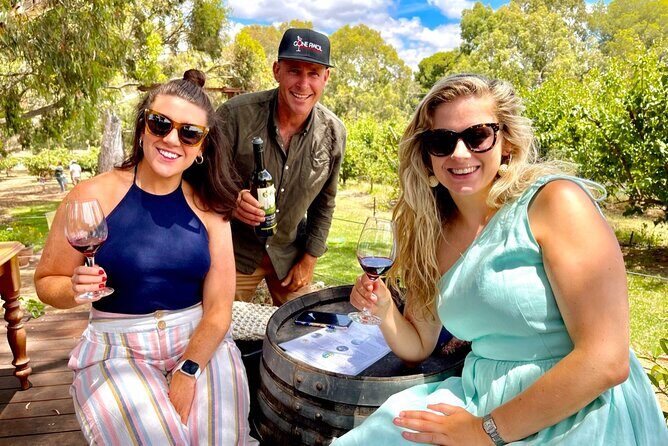 Luke's McLaren Vale Wine Tour - An Introduction to the Tour Experience