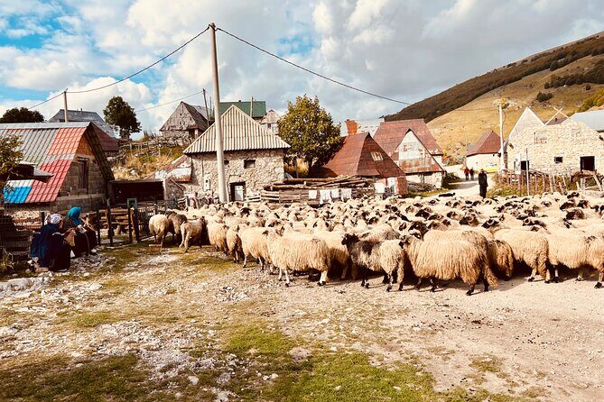 LUKOMIR VILLAGE HIKE & TREK TOUR (nature, hike, food & panorama) - FAQ