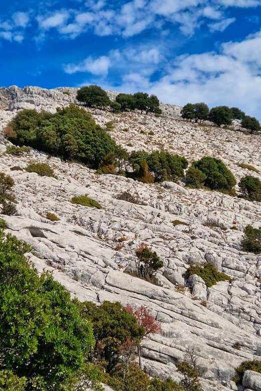 Lula: Montalbo hiking - Reaching Punta Turuddò: The Summit and Its Views