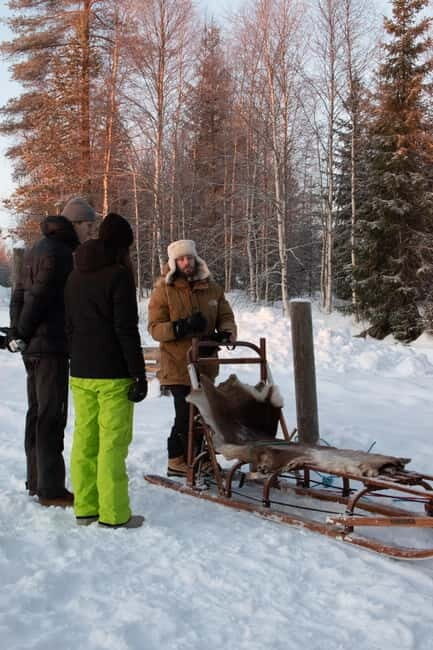 Luleå: Drive your own Husky team, 10km - Key Points