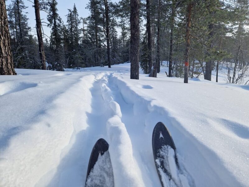 Luleå: Nordic Touring Skiing Adventure - What to Expect When You Sign Up