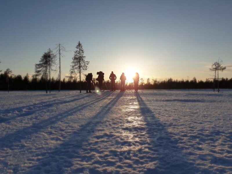Luleå: Nordic Touring Skiing Adventure - The Journey Over the Frozen Bay